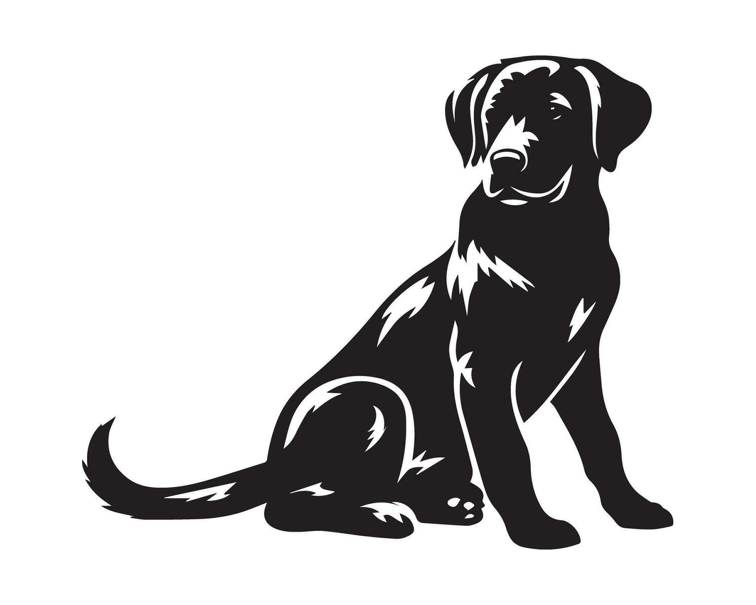 Puginese: The Affectionate and Playful Pug-Pekingese Mix