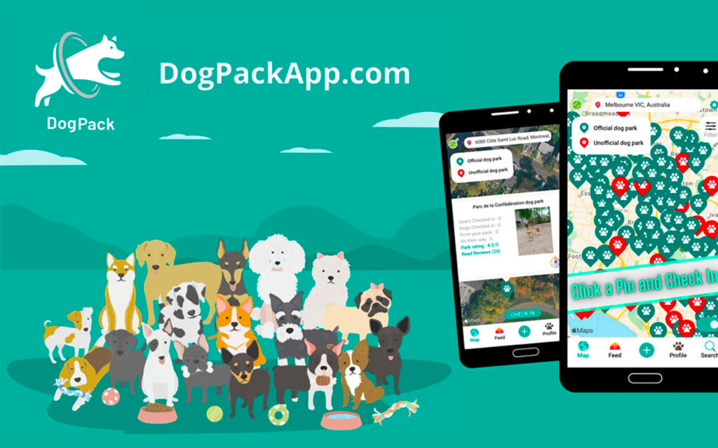 DogPack Blog: Tips, Guides & A-Z Dog Breeds for Owners